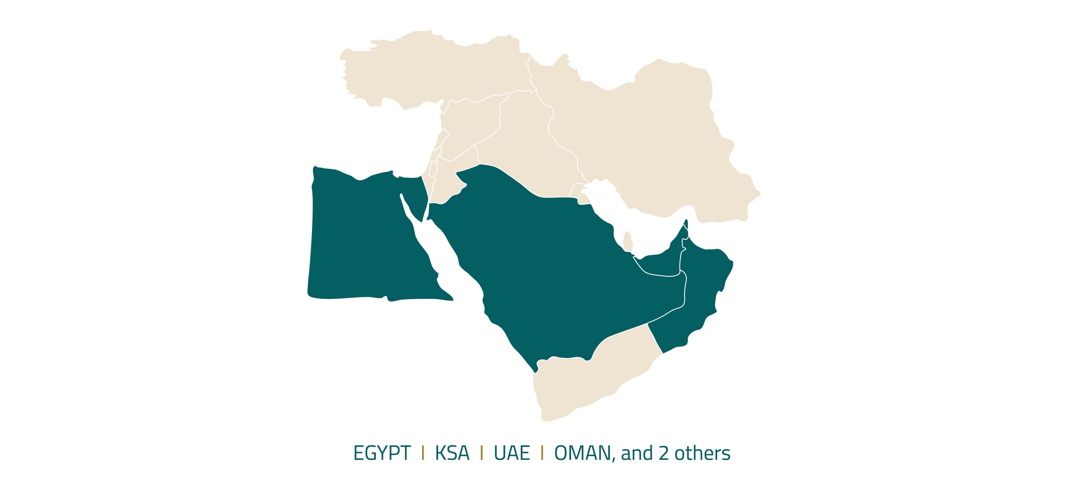 EDECS is Expanding expertise across Egypt and Saudi Arabia.